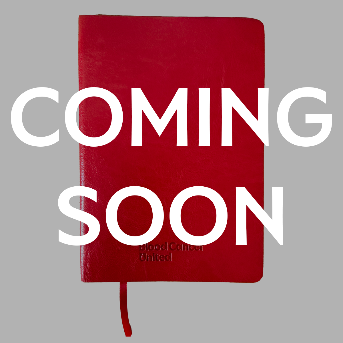 BCU Soft Sided Journal - COMING SOON - BCU155 – shoplls.com